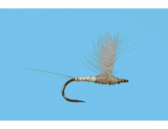 Callibeatis Fly Patterns | Callibeatis Dry Flies and Emergers