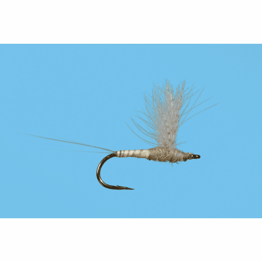 CDC Biot Comparadun Callibaetis - Callibaetis flies