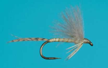 CDC Biot Emerger PMD - Pale Morning Duns