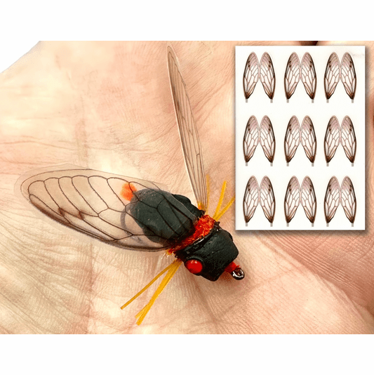 Cicada Wings - Fly Tying Supplies for Cicadas
