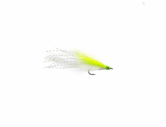Saltwater Fly Patterns