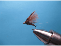 Wet Flies & Emergers | Fly Patterns for Trout & Steelhead | Soft hackle ...
