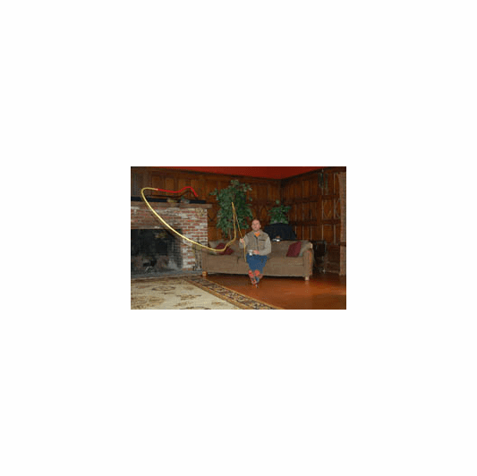 Echo Micro Practice Rod