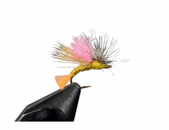 Traditional and Innovative Dry Flies for Trout Fishing