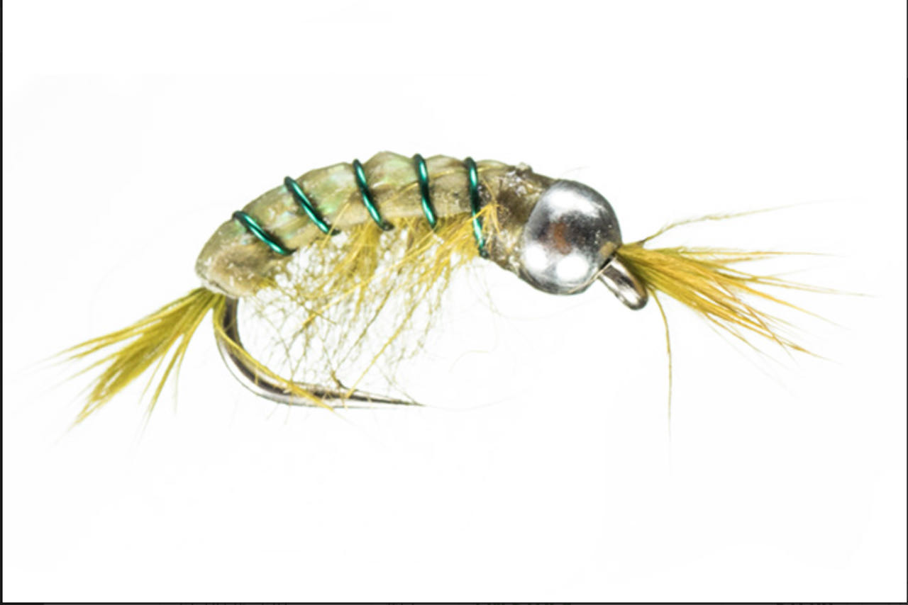 Gold Bead Scud - Scud fly pattern