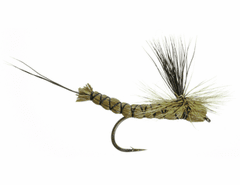 Flies | Trout, steelhead, salmon and saltwater flies for sale | Sale flies