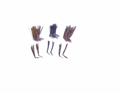 Fly tying materials for Body and Legs