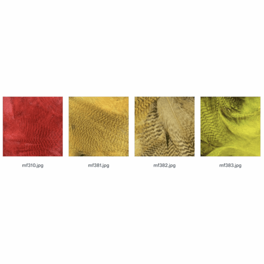 Mallard Flank Feathers - Fly Tying Materials and Supplies