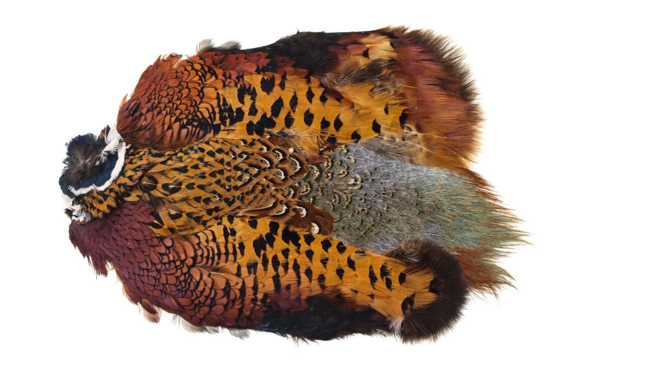 Hareline Ringneck Pheasant Skin, Fly Tying Supplies & Materials
