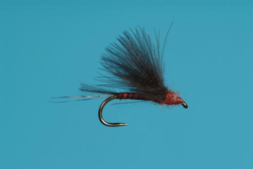 Harrop's CDC Biot Mahogany Dun Fly Pattern - Mahogany Dun Fly