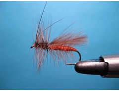 Best Stonefly Patterns | Dry Stoneflies | Sales on Stone flies