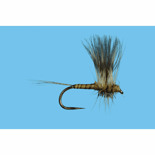 Harrop's CDC Thorax Green Drake - Green Drake Fly Patterns