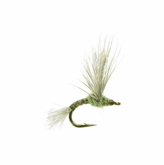 Improved Sparkle Dun Baetis - Dry Flies for Trout