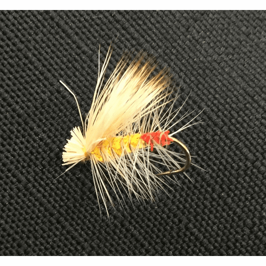 Little Yellow Stonefly