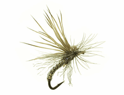 Traditional and Innovative Dry Flies for Trout Fishing