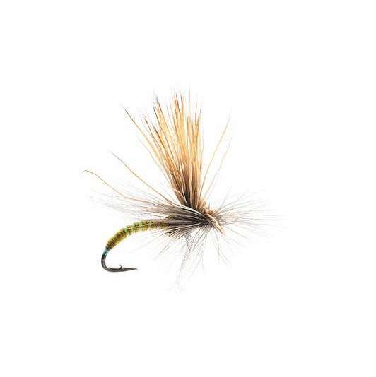 Mercer's Missing Link|Olive Caddis Fly Pattern