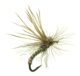 Mercer's Missing Link|Olive Caddis Fly Pattern