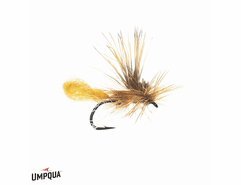 Terrestrial and Attractor Flies