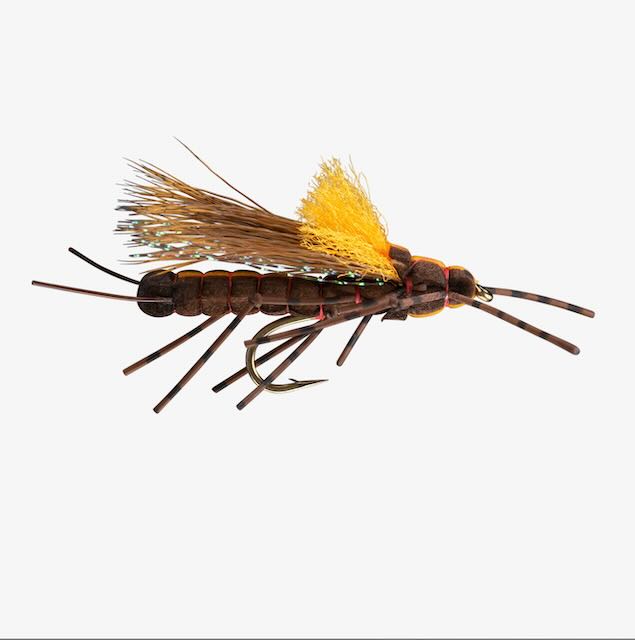 Morrish Fluttering Stone - Stonefly Patterns