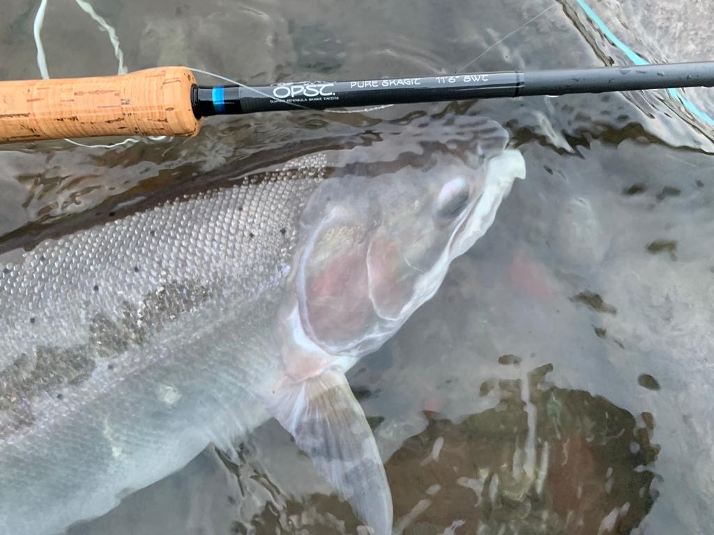 OPST Pure Skagit and Micro Skagit Rods - Fly Rods