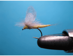 Pale Morning Dun Flie | PMD Trout Flies