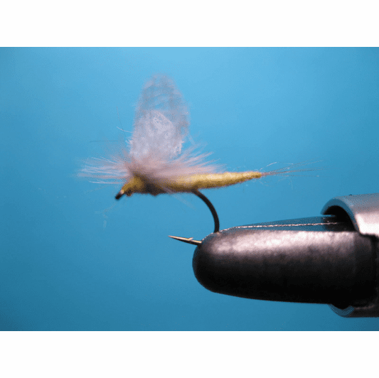 Pale Morning Dun Extended Body Fly|PMD Patterns