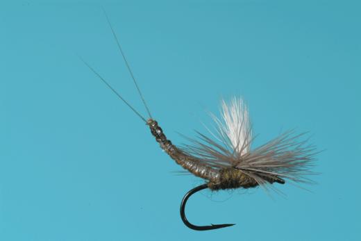 Parachute Extended Body Blue Winged Olive|Blue Winged Olive Dry Flies