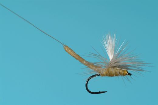 Parachute Extended Body PMD - PMDs