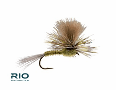 Green and Grey Drake Flies | Green & Gray Drake emergers