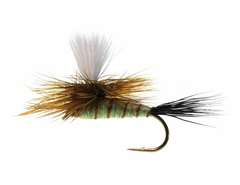 Green and Grey Drake Flies | Green & Gray Drake emergers
