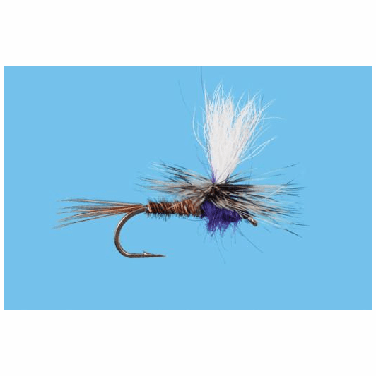 Parachute Purple Rooster|Mayfly Dry Fly Pattern
