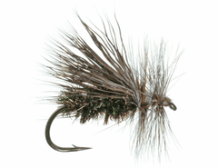 Best Caddis Fly Patterns | Caddis Emergers | Caddis nymphs | Trout Flies