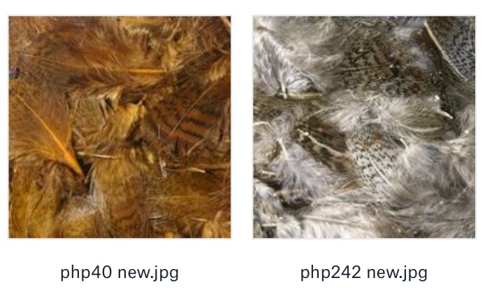 Premium Hungarian Partridge Feathers - Fly Tying Soft Hackle Feathers