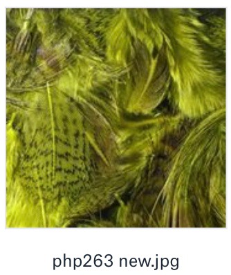 Premium Hungarian Partridge Feathers - Fly Tying Soft Hackle Feathers
