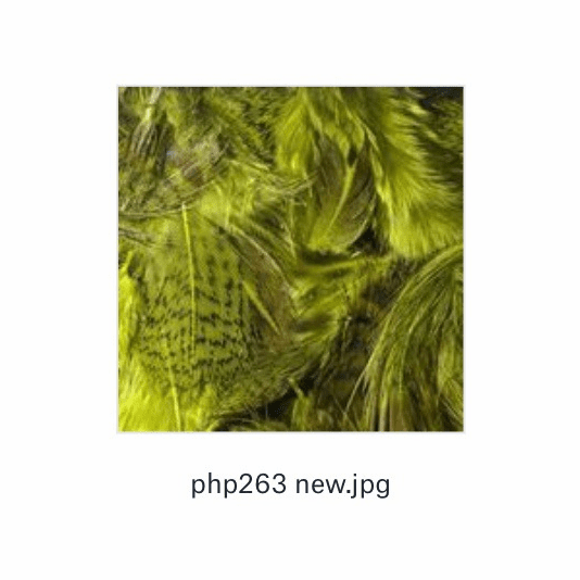 Premium Hungarian Partridge Feathers - Fly Tying Soft Hackle Feathers