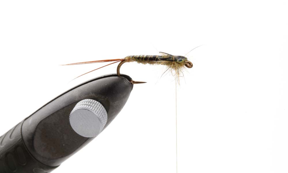 Pro Stone Clinger - Pro Sportfisher - Pro Trout Systems