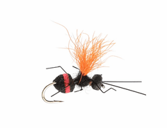 Terrestrial and Attractor Flies