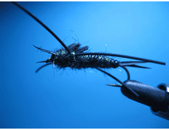 Trout & Steelhead Flies - Nymph Fly Patterns