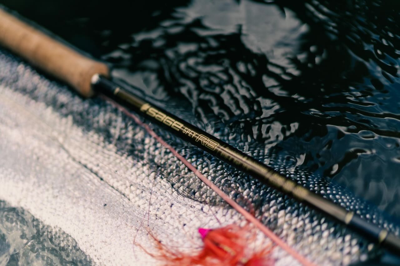 Sage R8 Spey Rods - Sage Fly Rods