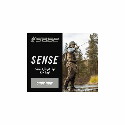 Sage Sense Euro Nymphing Rod - Sage Fly Rods