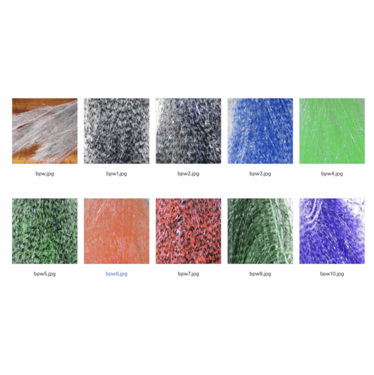 Senyo's Barred Predator Wrap - Barred Predator Wrap