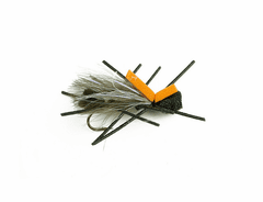 Terrestrial and Attractor Flies