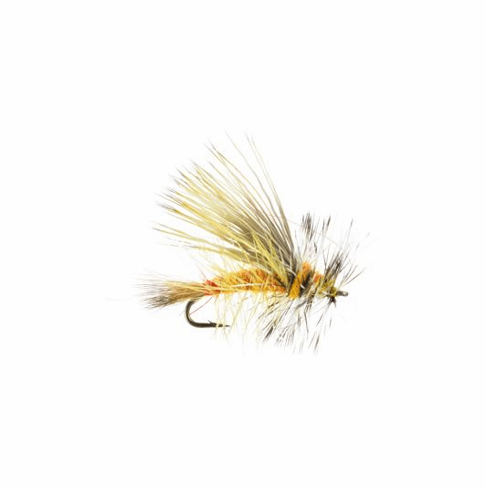 Silvey's Yellow Sally - Stoneflies