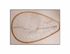 Fly Fishing Nets | Replacement net bags | Measure net | Catch & Release ...