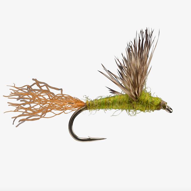 Sparkle Dun - Best May Fly Trout Patterns