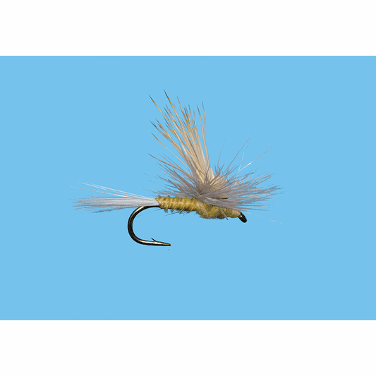 Tilt Wing PMD - Pale Morning Dun Flies
