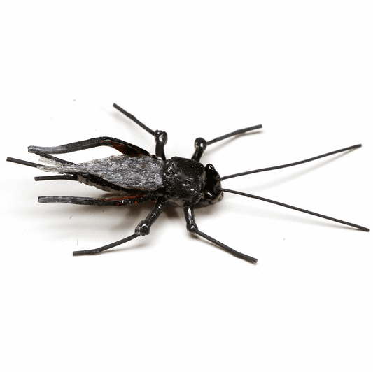 Tomsu's Supreme Cricket Cutters - Foam Body Cutters