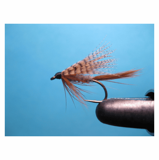 Wet Cahill Classic Wet Flies