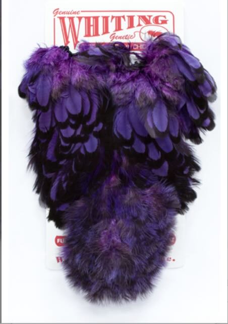 Whiting American Hen Soft Hackle with Chickabou - Soft Hackle Fly Tying ...