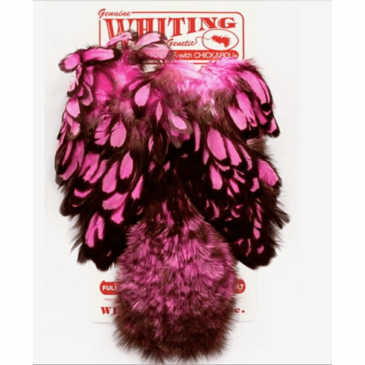 Whiting American Hen Soft Hackle with Chickabou - Soft Hackle Fly Tying ...